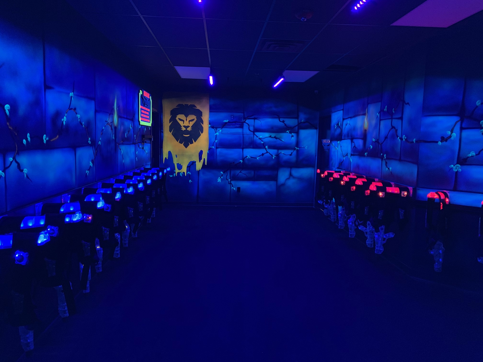 The Fun Lab | SullivanDay